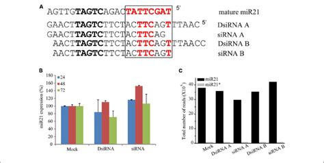 Sirna Did Not Controlled In Mirna A Seed Sequence Black Box Of