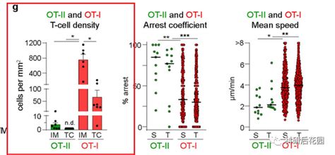 跟着nature学绘图——柱状图 散点图 误差线 显著性 截断！ 知乎