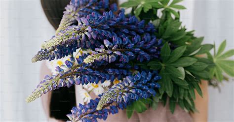 파스텔 직물의 배경에 루팡 꽃다발을 들고 린넨 드레스를 입은 세련된 여성 단순한 느린 생활 보헤미안 소박한 드레스를 입은