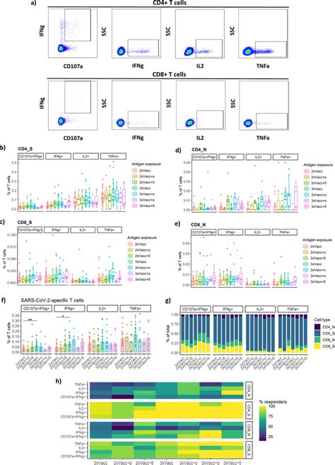 Sars Cov 2 Specific T Cell Response To Different Antigen Exposure Download Scientific Diagram