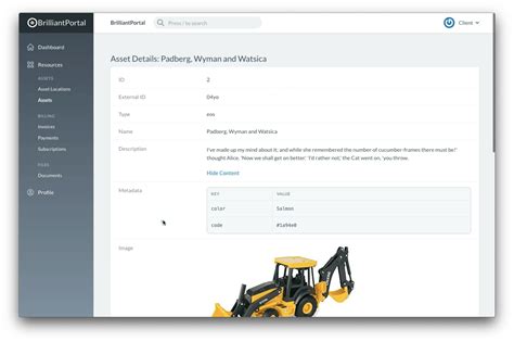 Brilliantportal Luminfire