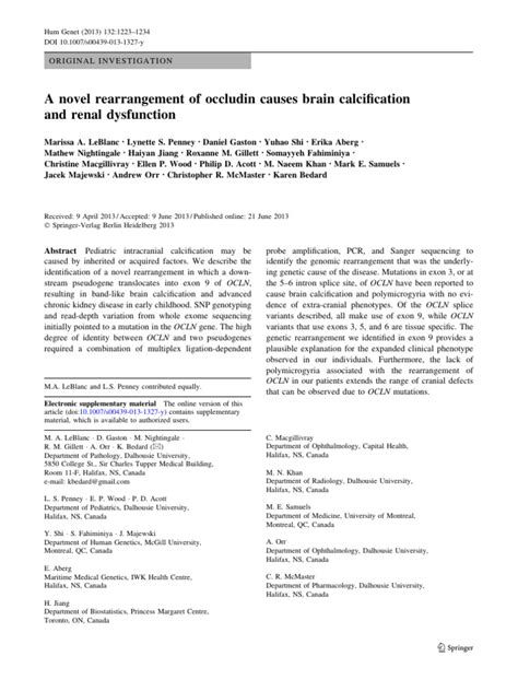 A Novel Rearrangement Of Occludin Causes Brain Calcification Pdf