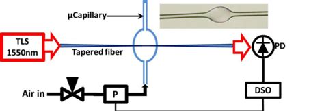 Schematic Of The Experiment Tls Tunable Laser Source Dso Digital