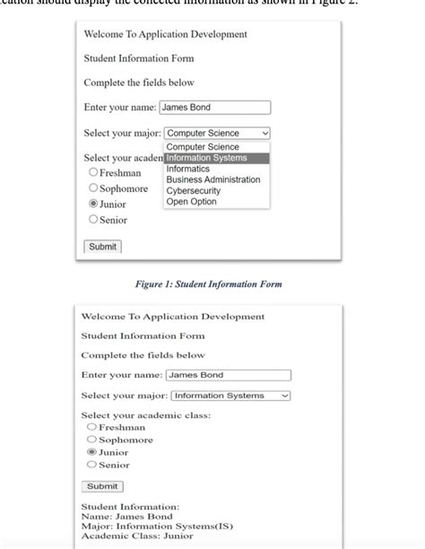 Create An Interactive Web Application Step By Step