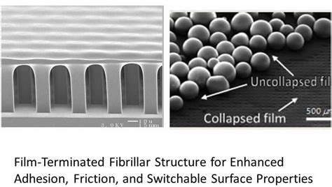 Tunability Switchability Control Of Adhesion The Jagota Group