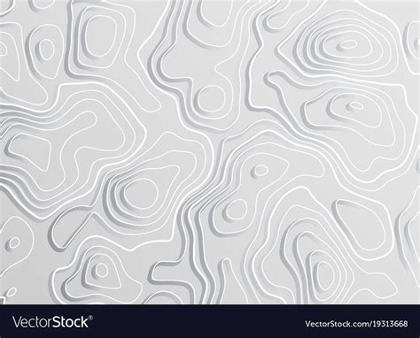 D Topographic Map Contour Elevation Concept Vector Image