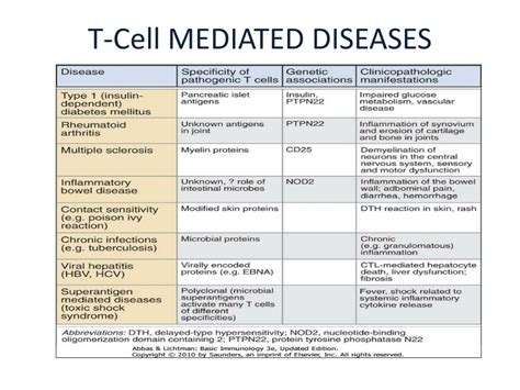 Ppt Hypersensitivity Reactions Powerpoint Presentation Free Download Id 1910577