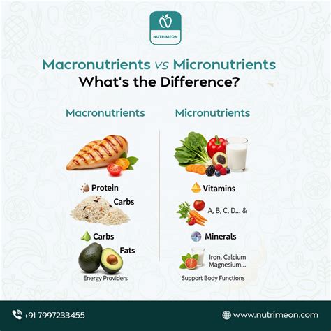 Nutrimeon (@nutrimeon) • Instagram photos and videos