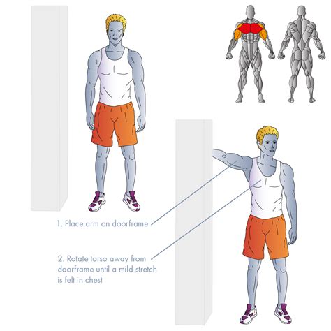 Chest Stretch Using Doorway