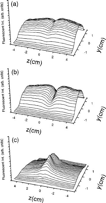 Spatial Fluorescence Distribution With A Laser Intensity Download Scientific Diagram