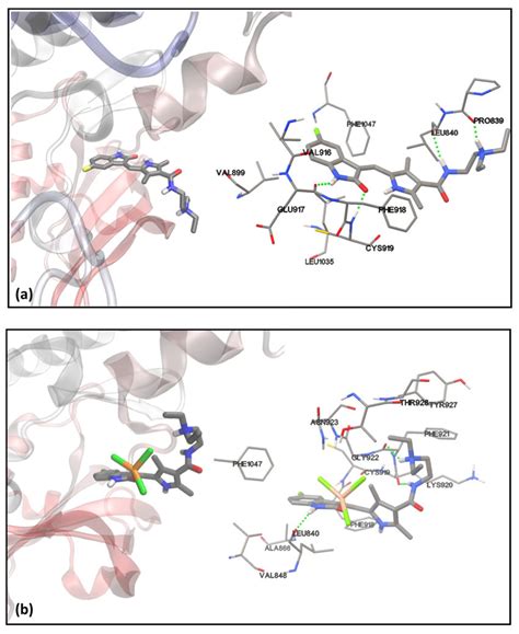 Left Most Favorable Binding Mode In The Atp Binding Pocket Of The