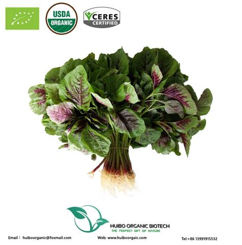 Amaranth Powder On Food Additive Amaranth Extract Powderchina Price