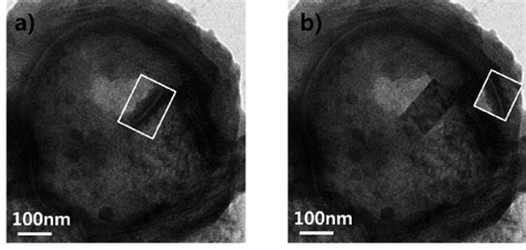 Staining Lipid Shell Microbubble And The Shell Structure Download Scientific Diagram