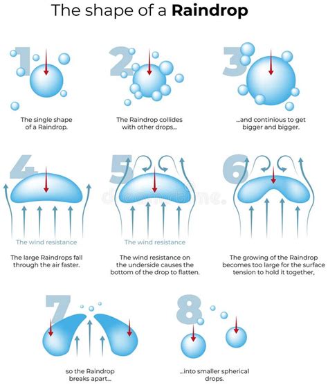 Shape Of A Raindrop Stock Vector Illustration Of Lsplatter 335835369