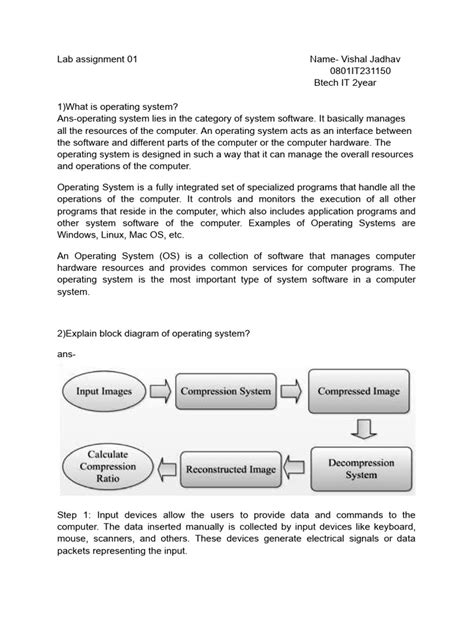 Lab Assignment 01 Compressed Pdf Operating System Inputoutput