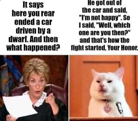 The 20 Funniest Judge Judy Memes Ranked