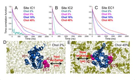 Binding Time Of Cholesterol A C Time Correlation Function Of Download Scientific Diagram