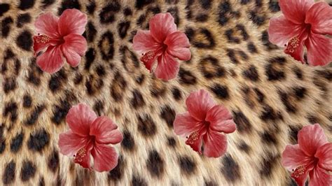 Pink Cheetah Print Desktop Wallpaper
