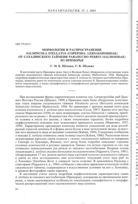 Pdf Morphology And Distribution Of Salmincola Stellatus Copepoda