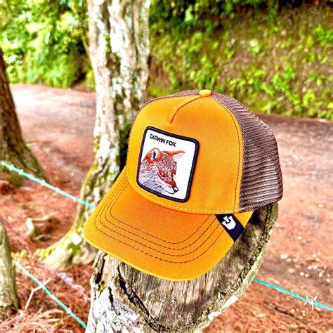 Darwin Fox Tribu Mates