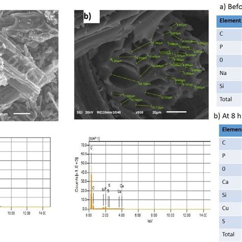 Synthesis Of Activated Carbon From Sugarcane Bagasse Download