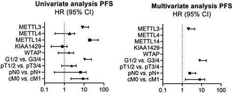 Forest Plot Analysis Of Univariate And Multivariate Cox Regression Download Scientific Diagram