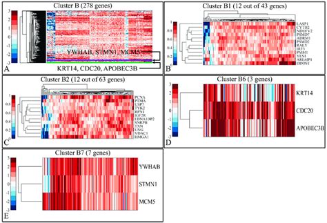 Hcl Of The K Means Clusters Presented In Figure 2d Cluster B A And Download Scientific