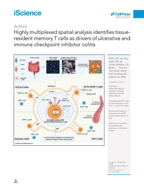 Pdf Highly Multiplexed Spatial Analysis Identifies Tissue Resident Memory T Cells As Drivers