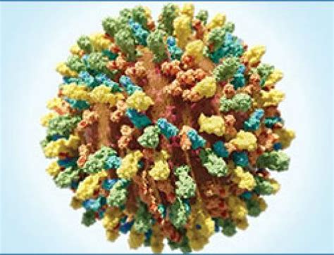 Uda Seq Universal Droplet Microfluidics Based Combinatorial Indexing For Massive Scale