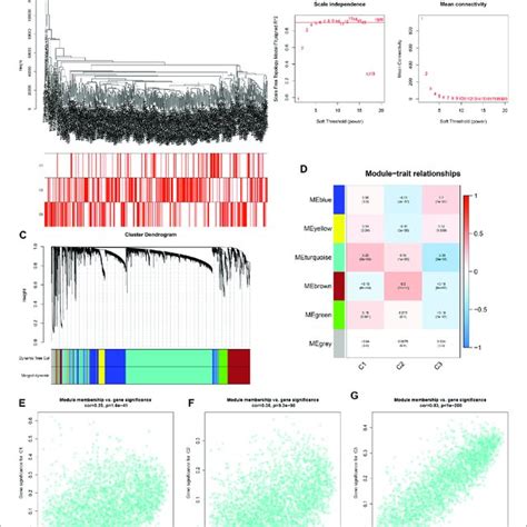 Evaluation Of The Infiltration Level Of Immune Cells Xcell A Download Scientific Diagram