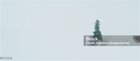 비에이 패치워크 로드의 랜드마크이자 일본 홋카이도의 명소로 유명한 겨울철에 눈이 내리는 아름다운 크리스마스 트리 여행과 휴가