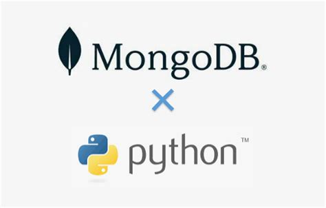 MongoDBpymongoの使い方まとめこれだけ覚えればオッケー TrueWalk