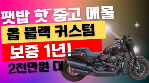 할리데이비슨 핫 중고 매물 머플러 변경된 팻밥 할리데이비슨 도도할리 최우혁 Youtube