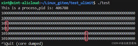 【linux】深入理解进程信号机制：信号的产生、捕获与阻塞 csdn博客