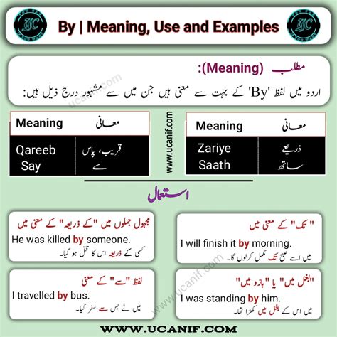 By Meaning In Urdu With Examples Paas پاس