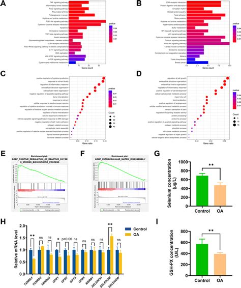 Injectable Hydrogel With Selenium Nanoparticles Delivery For Sustained Glutathione Peroxidase