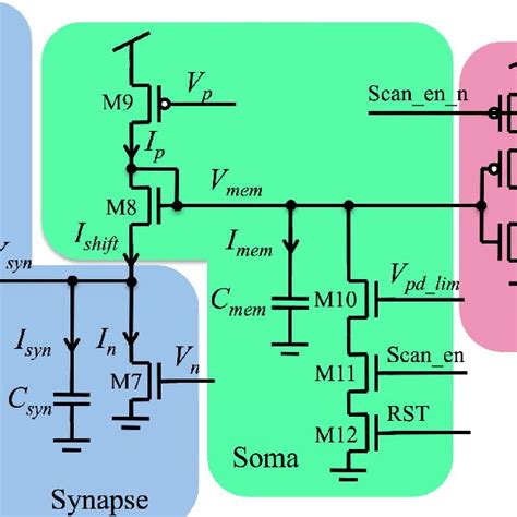 Schematic Of The Conductance Based Neuron Download Scientific Diagram