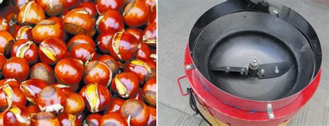 Electric Chestnut Roaster Machine Nut Roaster