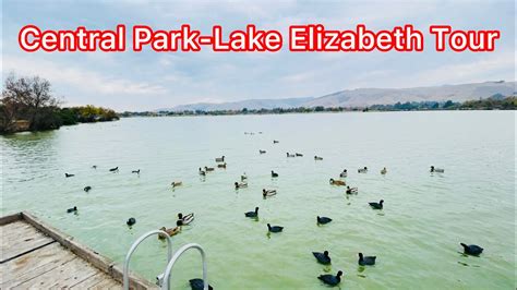 Lake Elizabeth California Central Park Lake Elizabeth Fremont Ca