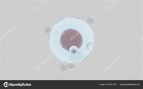 Balls Randomly Move Around Sphere Design Illustrative Animation Of