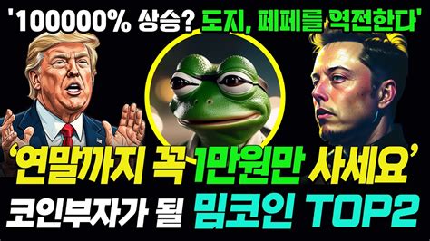 12월에 담아놓으면 부자되는 밈코인 2개 공개 페페코인 도지코인 봉크코인 Youtube
