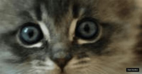 Riotjs 5 Bug Template Forked Codesandbox