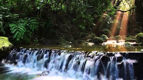 მშვიდი მუსიკა Flv Youtube