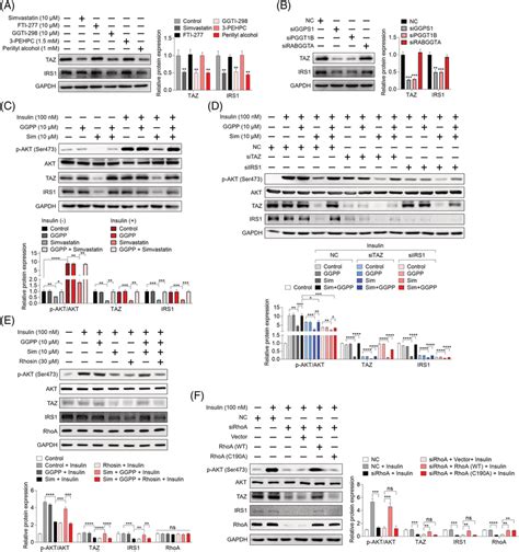 Geranylgeranyl Pyrophosphate Ggpp Reverses Simvastatin‐caused Download Scientific Diagram
