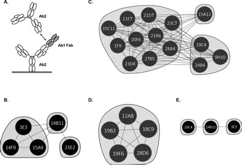 Anti Ids Epitope Binning Characterization In Project E A Anti Ids