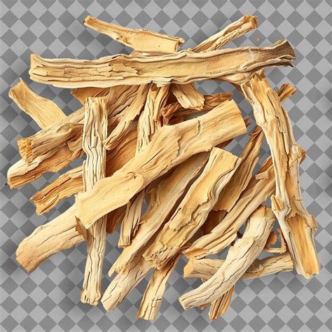 Astragalus Root Herb Type Astragalus Membranaceus Form Of He Isolated