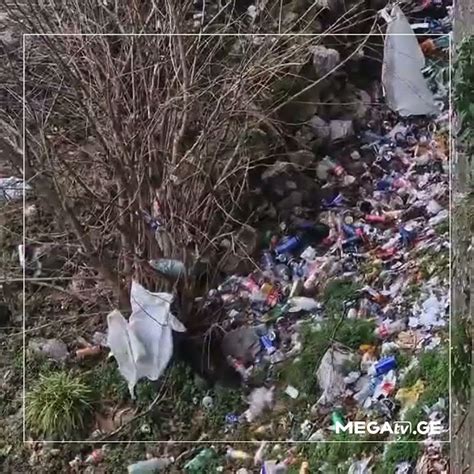 მდინარე რიონის დაბინძურებული სანაპირო ჯაჭვის ხიდთან Youtube