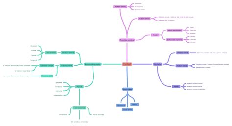Encefalul Alcătuire Externă Coggle Diagram