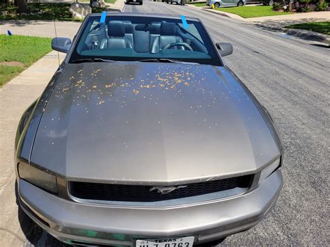 Tips On Choosing A Cheap Windshield Replacement Omni Auto Glass