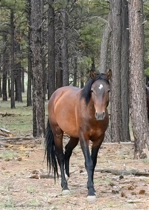 Friends Beautiful Photo By Patty Ranweiler Facebook